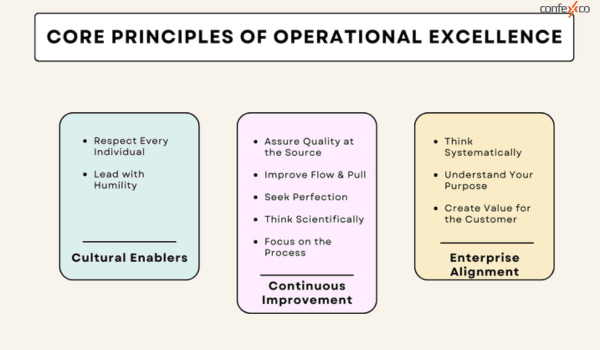 3 Reasons Why Operational Excellence Initiatives Succeed (and How ...